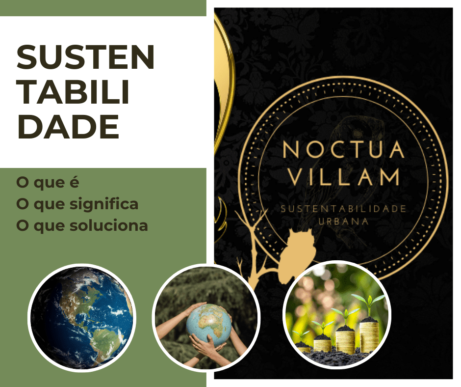 Sustentabilidade: o que É e para que Serve - Noctua Villam